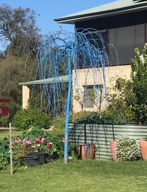 Why are people painting dead trees blue? | Divorce Resource